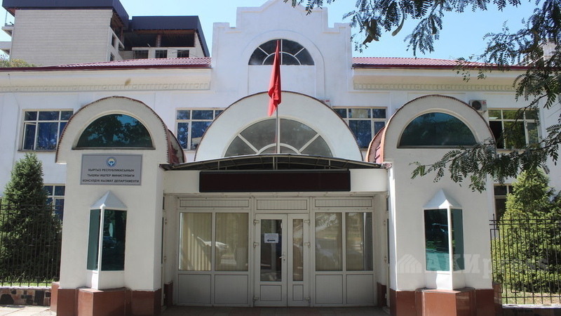 Digitalization improved quality of consular services and sped up ...