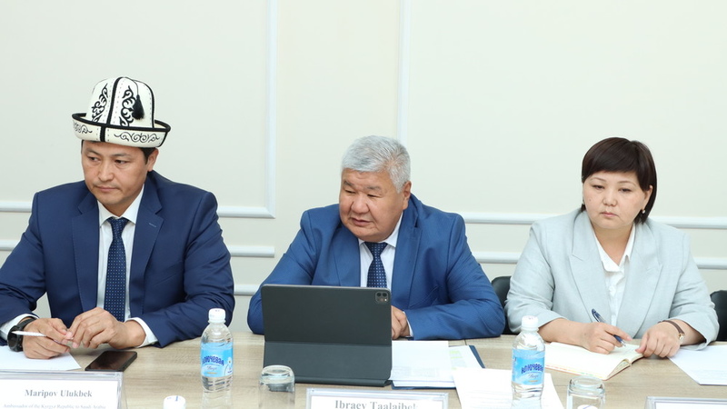 Kyrgyzstan, FAS Energy to cooperate in installation of solar panels on ...