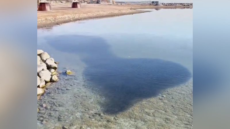 Fish resources reportedly restoring in Lake Issyk-Kul - AKIpress News ...