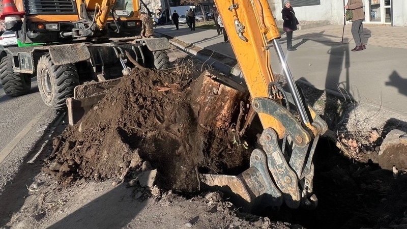 Stump removal continues in Bishkek: Over 12,000 stumps uprooted in 2025 ...