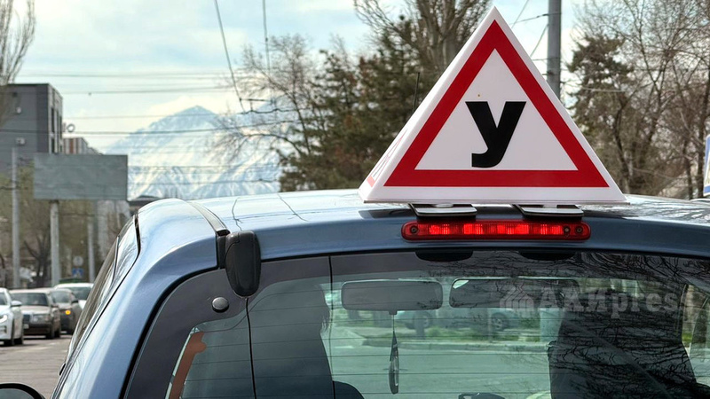 Training for Category B driver's license will last 10 months in ...