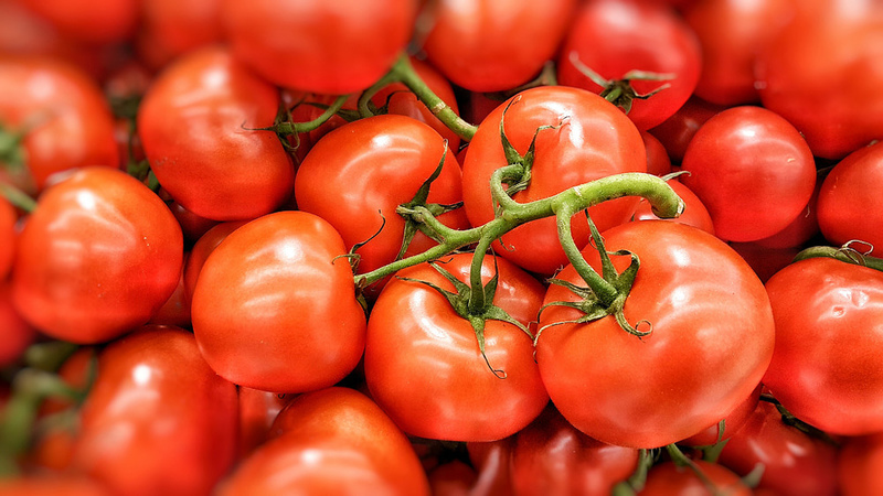 Kyrgyzstan increases import of tomatoes from Turkmenistan by 6% ...