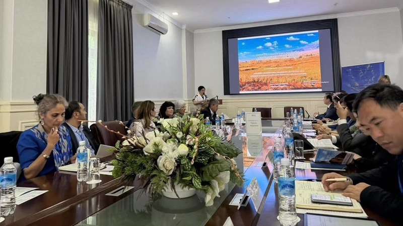 International seminar on preservation of adobe brick monuments underway ...