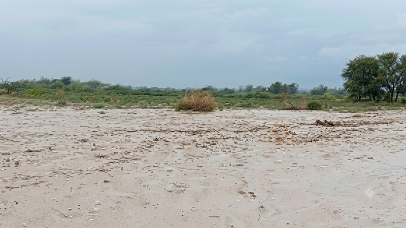 Nine natural disasters recorded in Talas region on June 20-21 ...